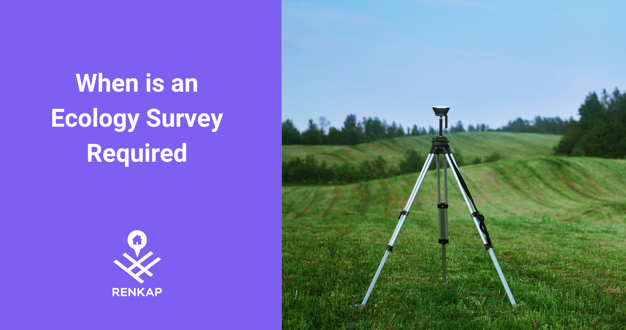 When is an Ecology survey required?